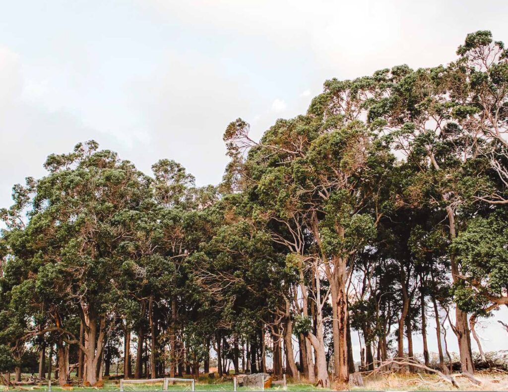 Community Map – Birdwood Cowaramup Land Estate